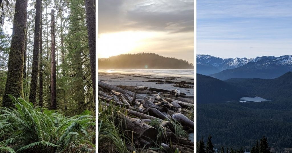 Essential Guide to Vancouver Island - Vancouver Island Explorer
